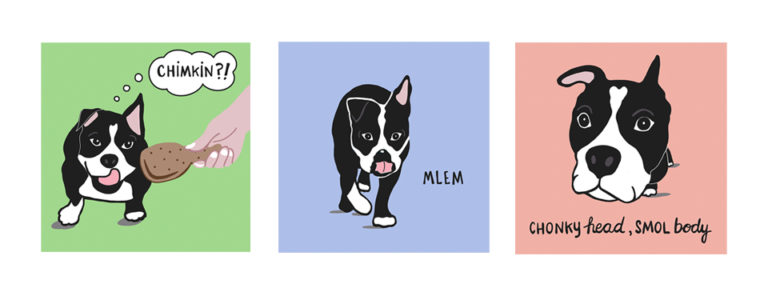 Doggo Lingo: a visual 'dog talk' dictionary infographic - Stone Soup ...