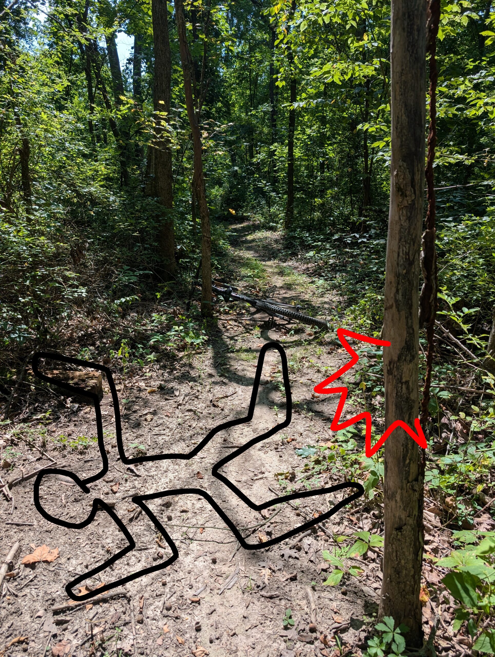 Mountain biking trail example of what happens when I don’t stay present ...